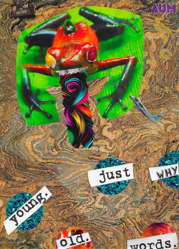 AUM Universe - Festival Art Project